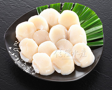 Beluga Raw Scallop Meat-Johnson Seafood Co., Ltd.