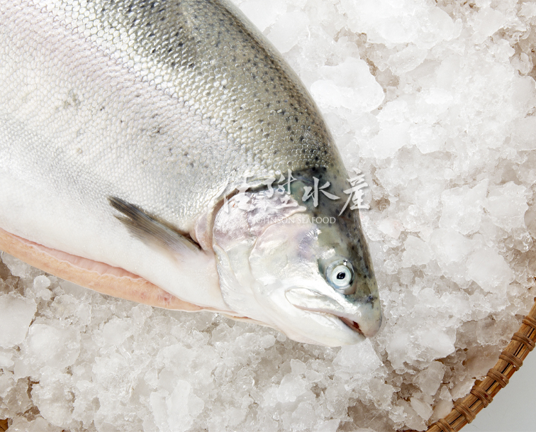 Norwegian Salmon Trout-Johnson Seafood Co., Ltd.